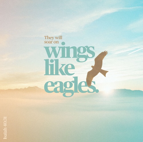 High Above the Storm – Devotional Inspirations