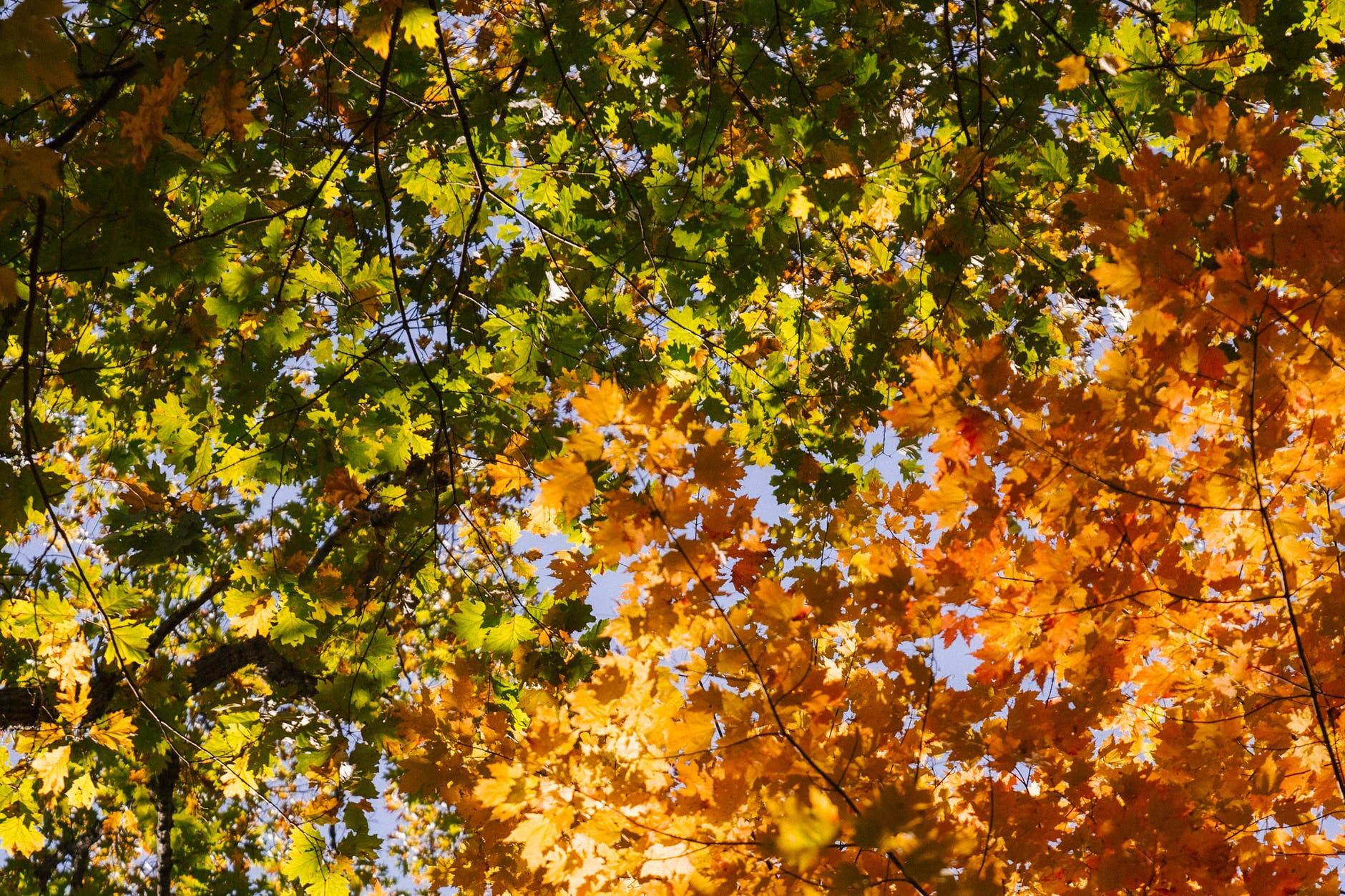 Times and Seasons – Devotional Inspirations