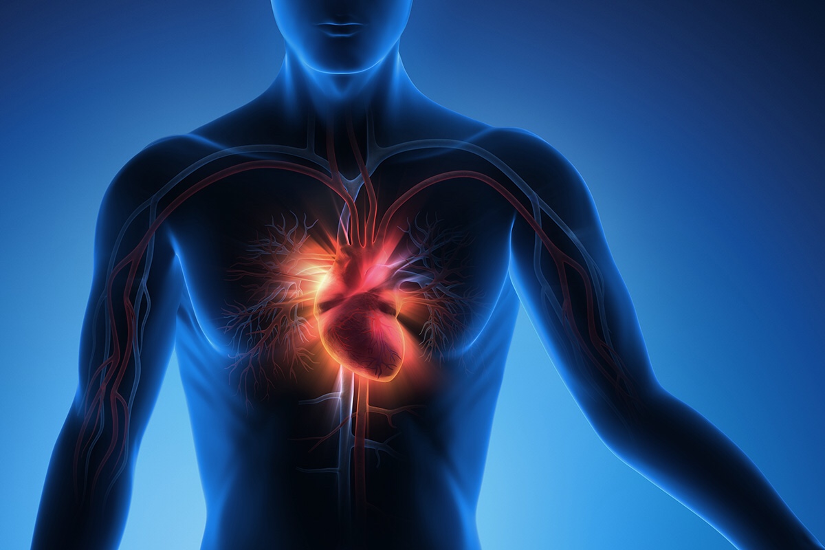 Matters of the Heart – Devotional Inspirations